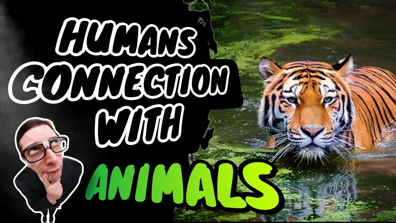 Unveiling the Extraordinary: Humans Communicating with Animals - YouTube