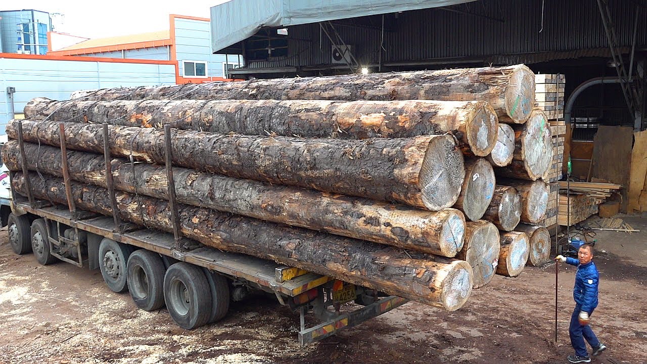 Process of mass-production tables from the finest wood. Solid wood ...