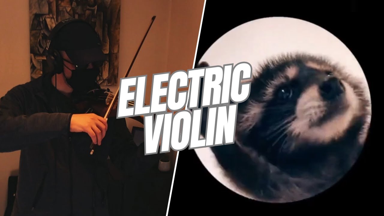 Pedro Pedro Pedro - Racoon Meme - Electric violin cover - YouTube