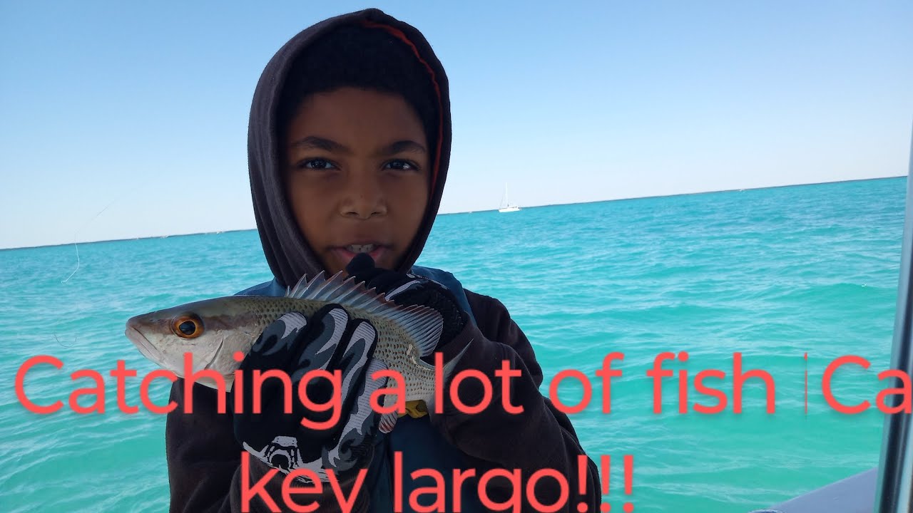 catching a lot of fish in key largo!!! - YouTube