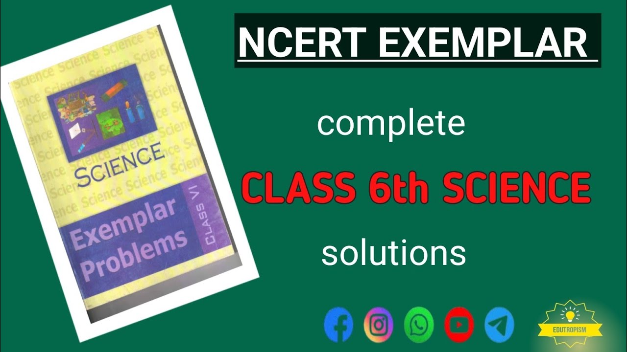 Complete 6th class ncert science exemplar problems and Solutions ...