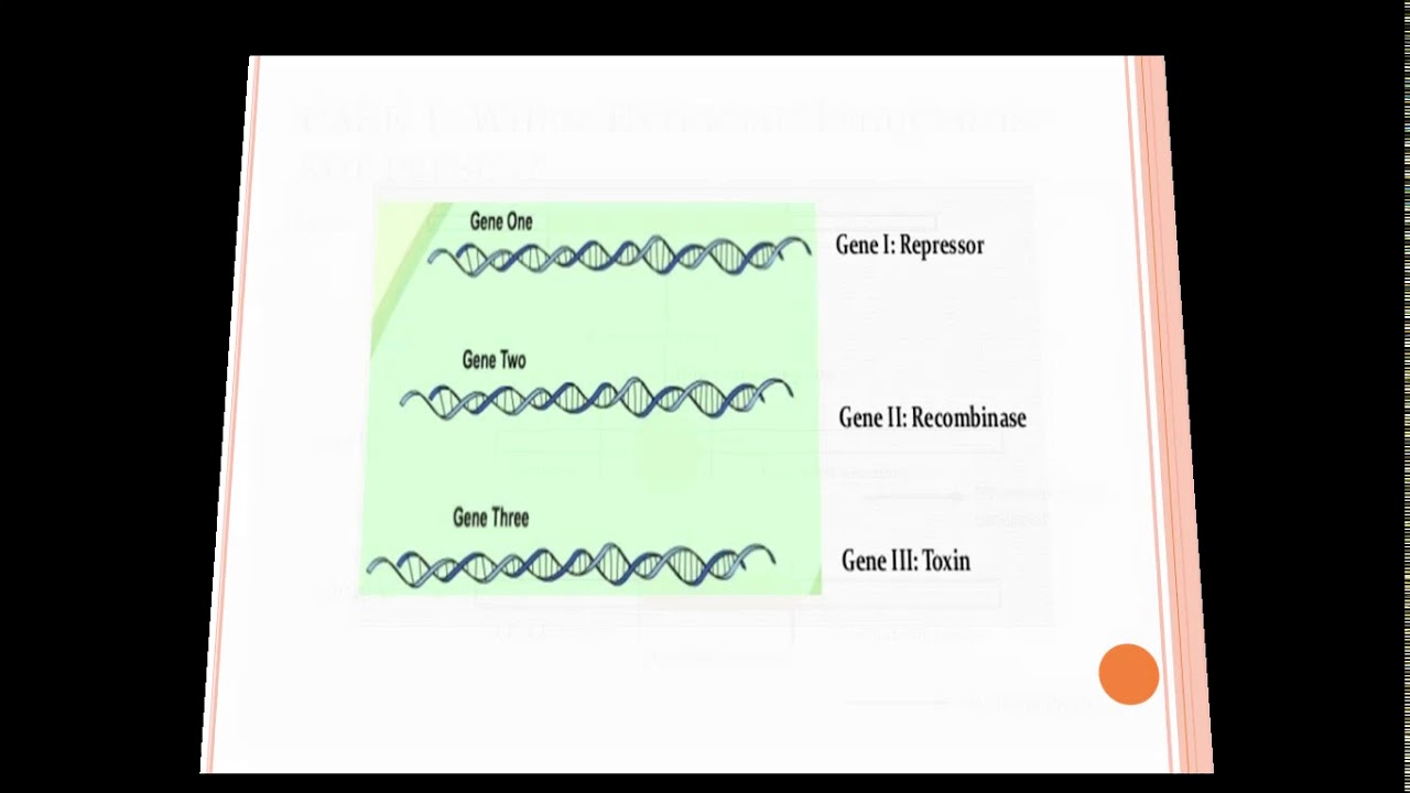 TERMINATOR SEED TECHNOLOGY | GURT I Science jagat - YouTube
