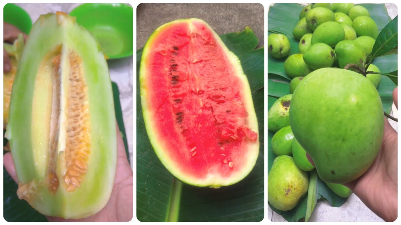 The Best Unique Village Fruits On The World | Jackfruit | Watermelon ...