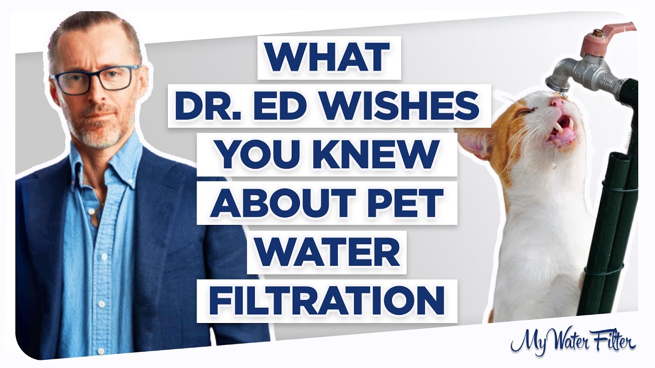 What Dr. Edward Wishes You Knew About Pet Water Filtration - YouTube