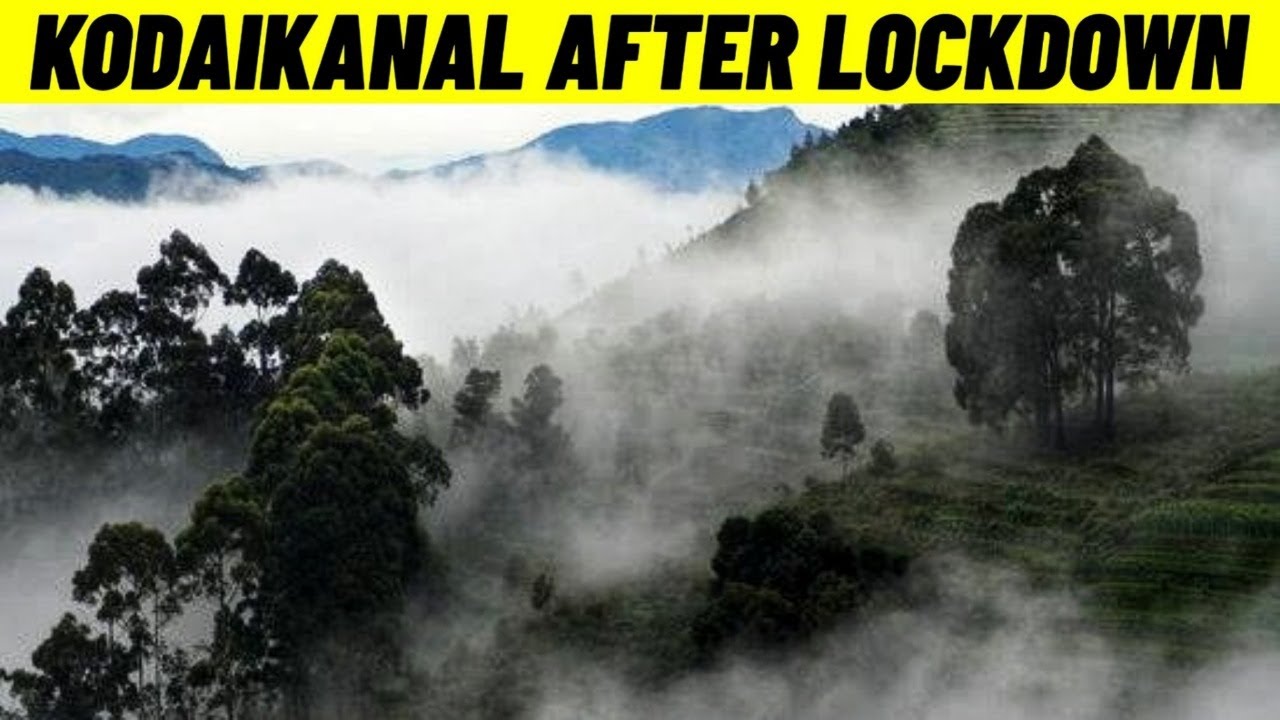 Kodaikanal Bike ride | Drone Shots | Complete guide on after lockdown ...