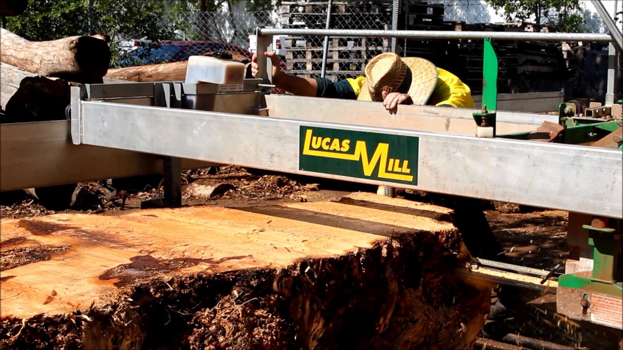 Heritage Tree Care Lucas Milling a Huon Pine Brisbane - YouTube