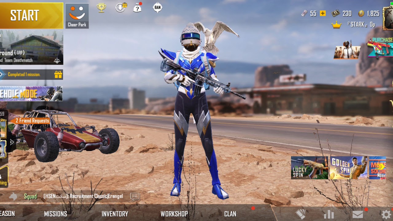 PUBG ID OF PRO PLAYER STATS AND CARRIER RESULT - YouTube