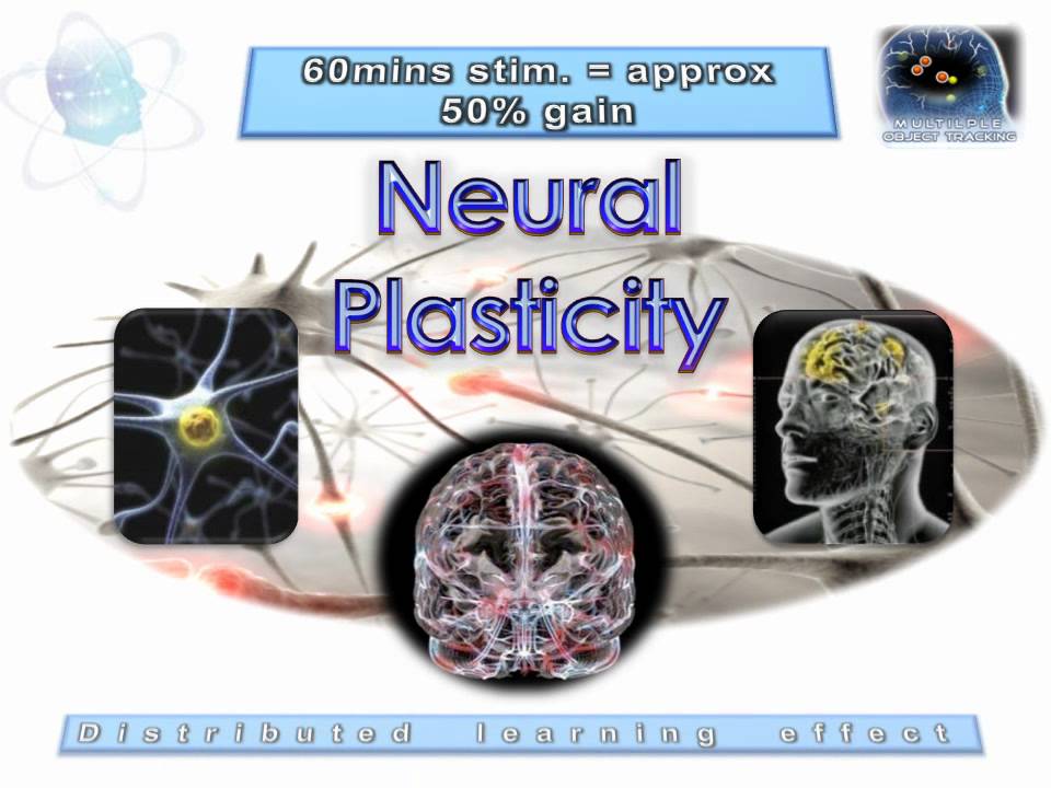 CogniSens Athletics NeuroTracker Introduction - YouTube