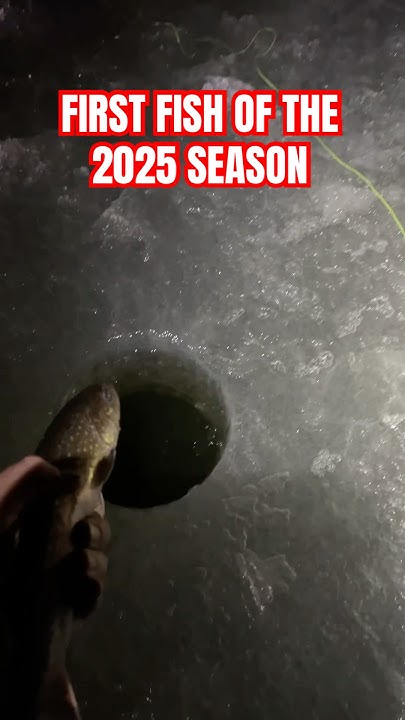First fish (Splake) of the 2025 season. Maine Ice Fishing 2025. - YouTube