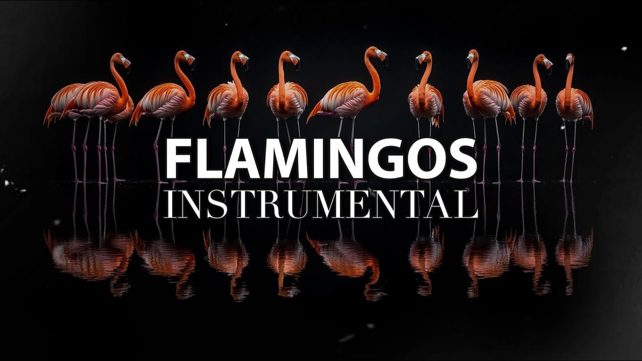 [ FREE ] "Flamingos" (Chill Hip-Hop Boom Bap Beat) | Instrumental Music ...
