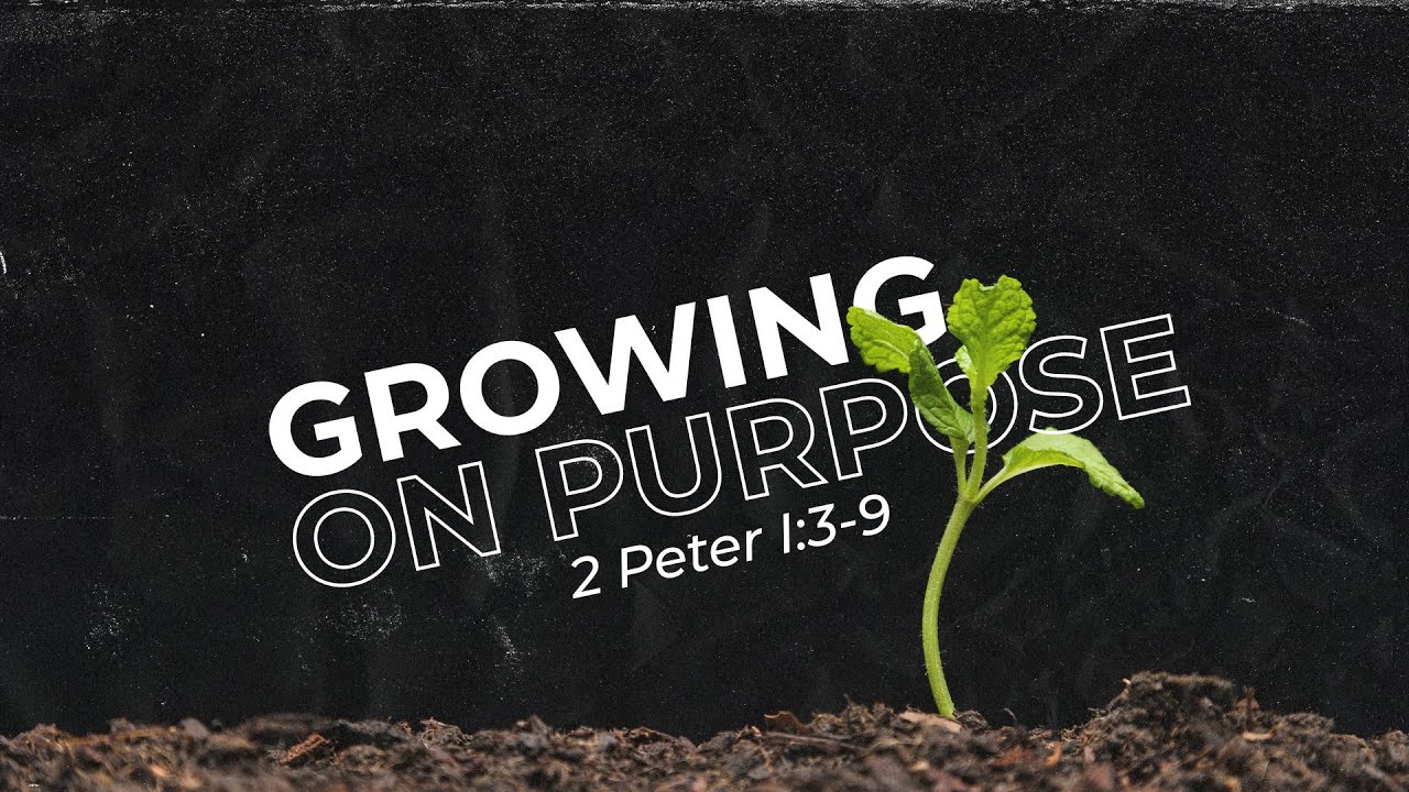 Knowledge & Self-Control | Homeport Christian Church