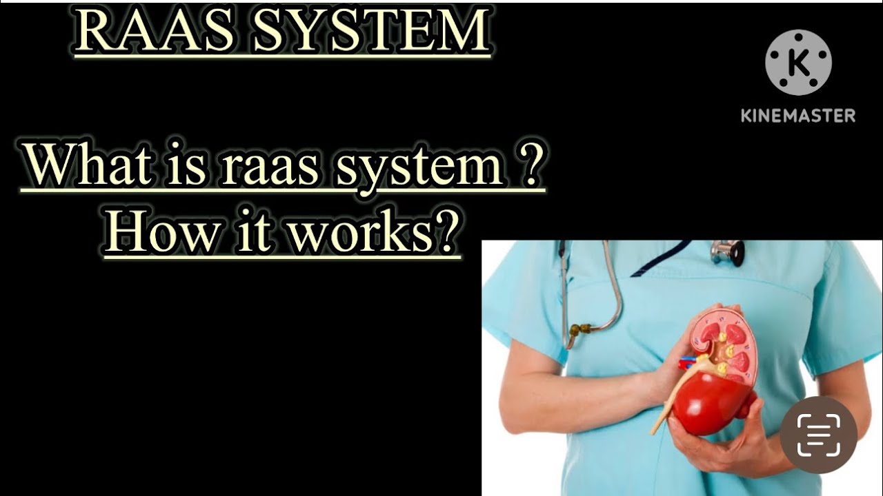 Renin angiotension aldosterone system|RAAS system in detail - YouTube