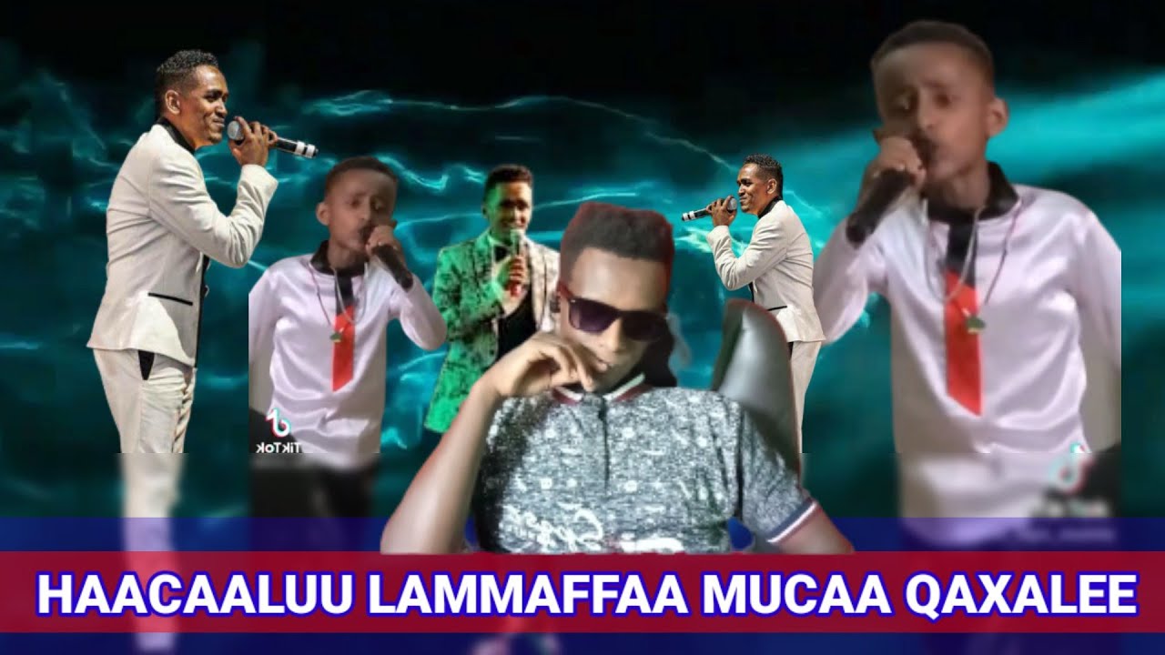 Haacaaluu lammaffaa mucaa qaxalee kanaa♥️👍 - YouTube