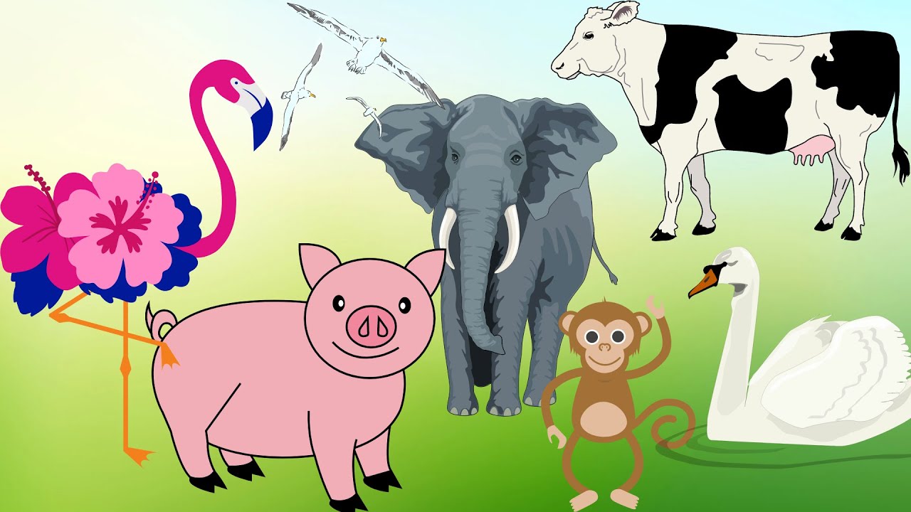CUTE ANIMALS WITH A BEAUTIFUL VOICE: flamingo, elephant, seagull ...