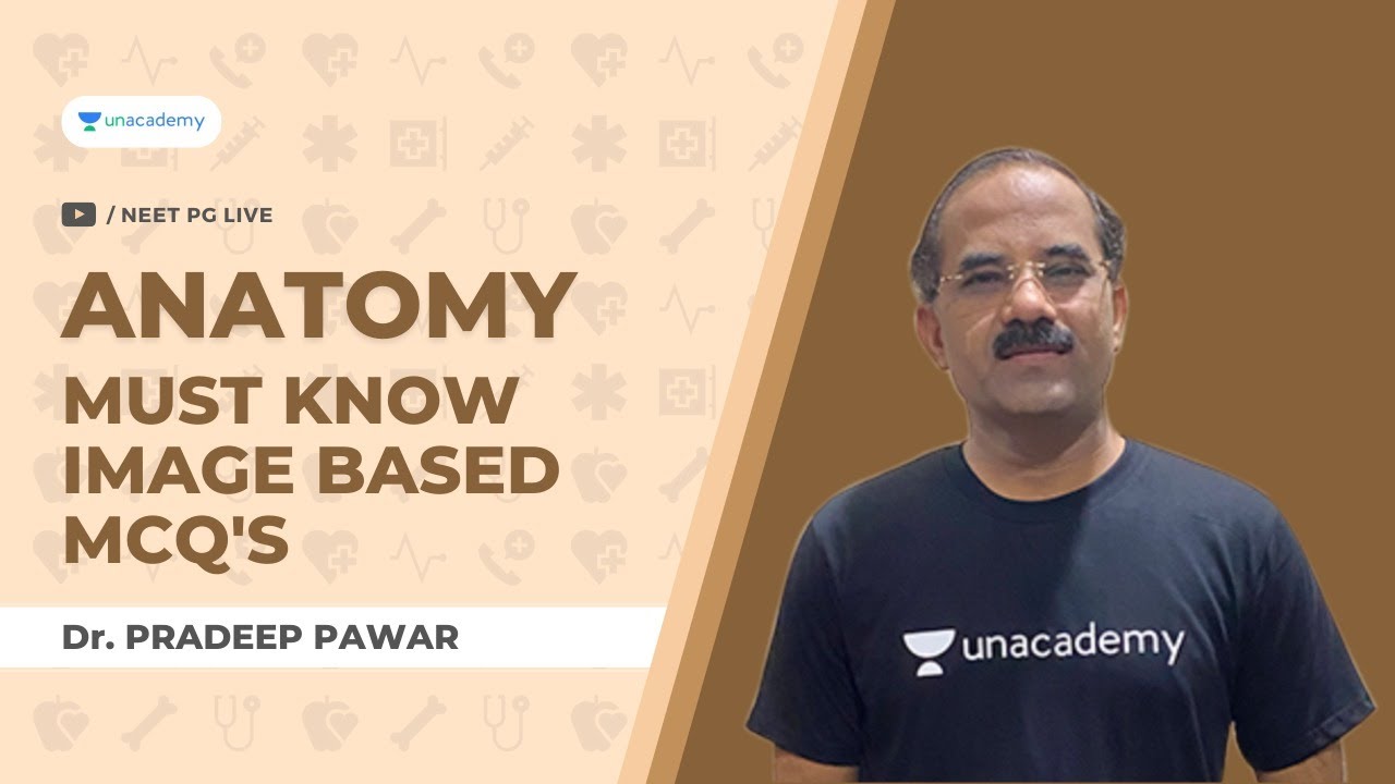 Anatomy High Yield Images Part 2| Dr. Pradeep Pawar - YouTube