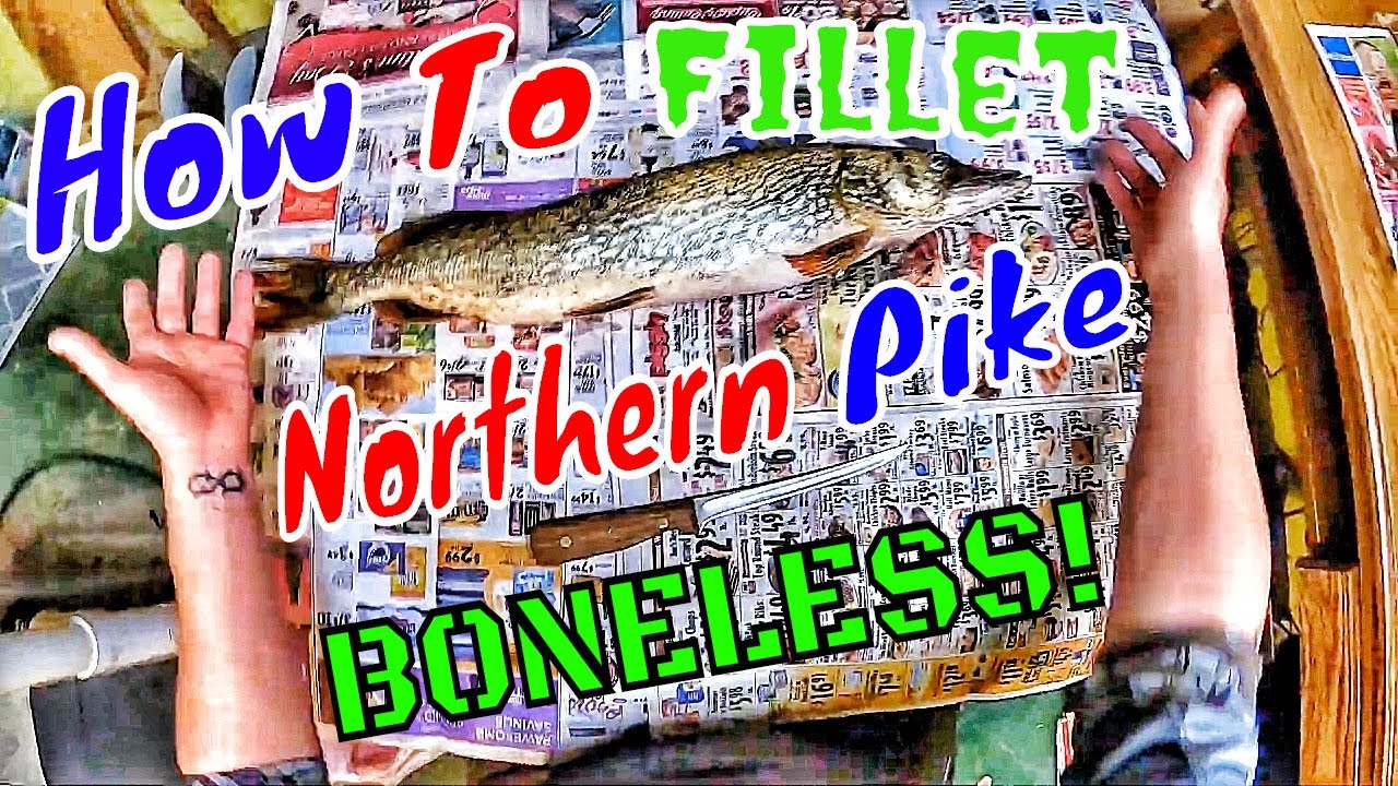 How To Fillet A Northern Pike? - YouTube