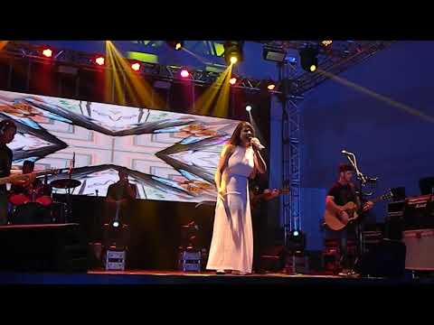 Ninguém é de ferro (Carol Cesconeto)