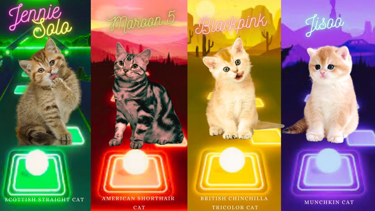 Tiles hop Сute Cats Jennie Solo - Maroon 5 - Blackpink - Jisoo Flower ...