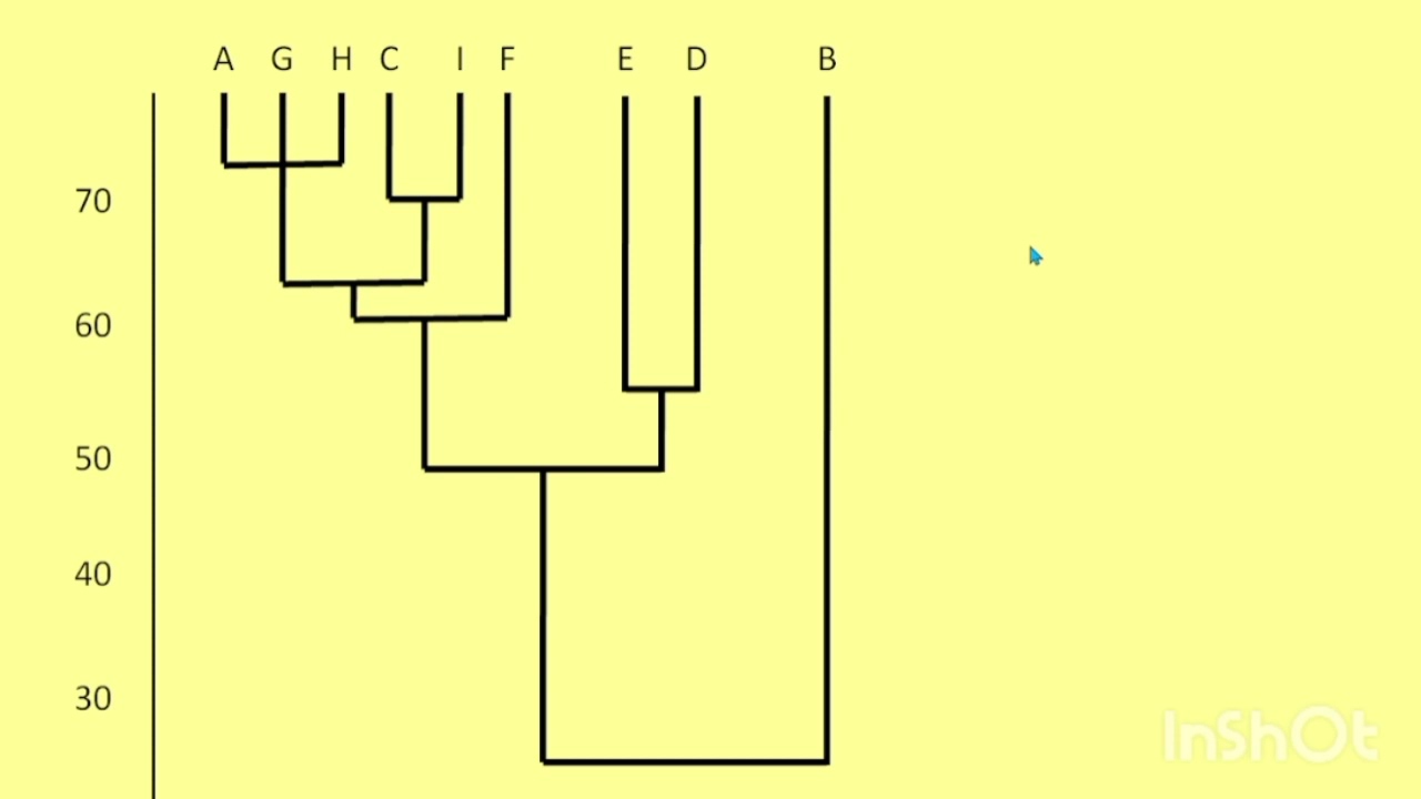 FENOGRAM MANUAL (kelompok 1) - YouTube