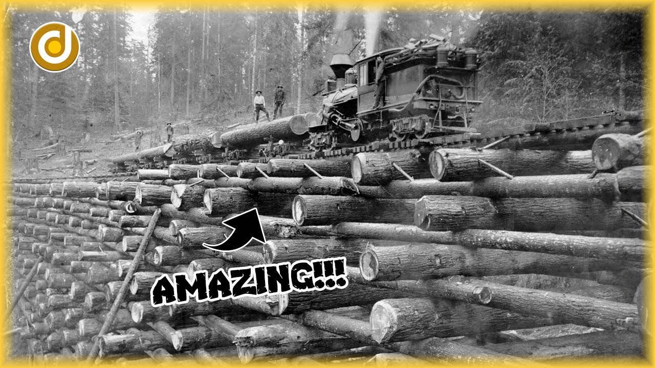 The Process of Extracting and Manufacturing Wood Into Newspaper During ...