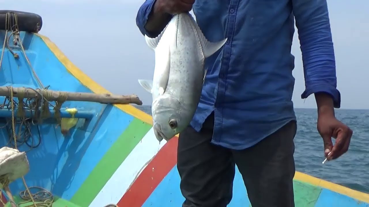 PAARAI FISH CATCHING AT SEASHORE | Water World - YouTube