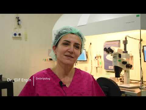 Bursa Eurofertil Tüp Bebek Merkezi