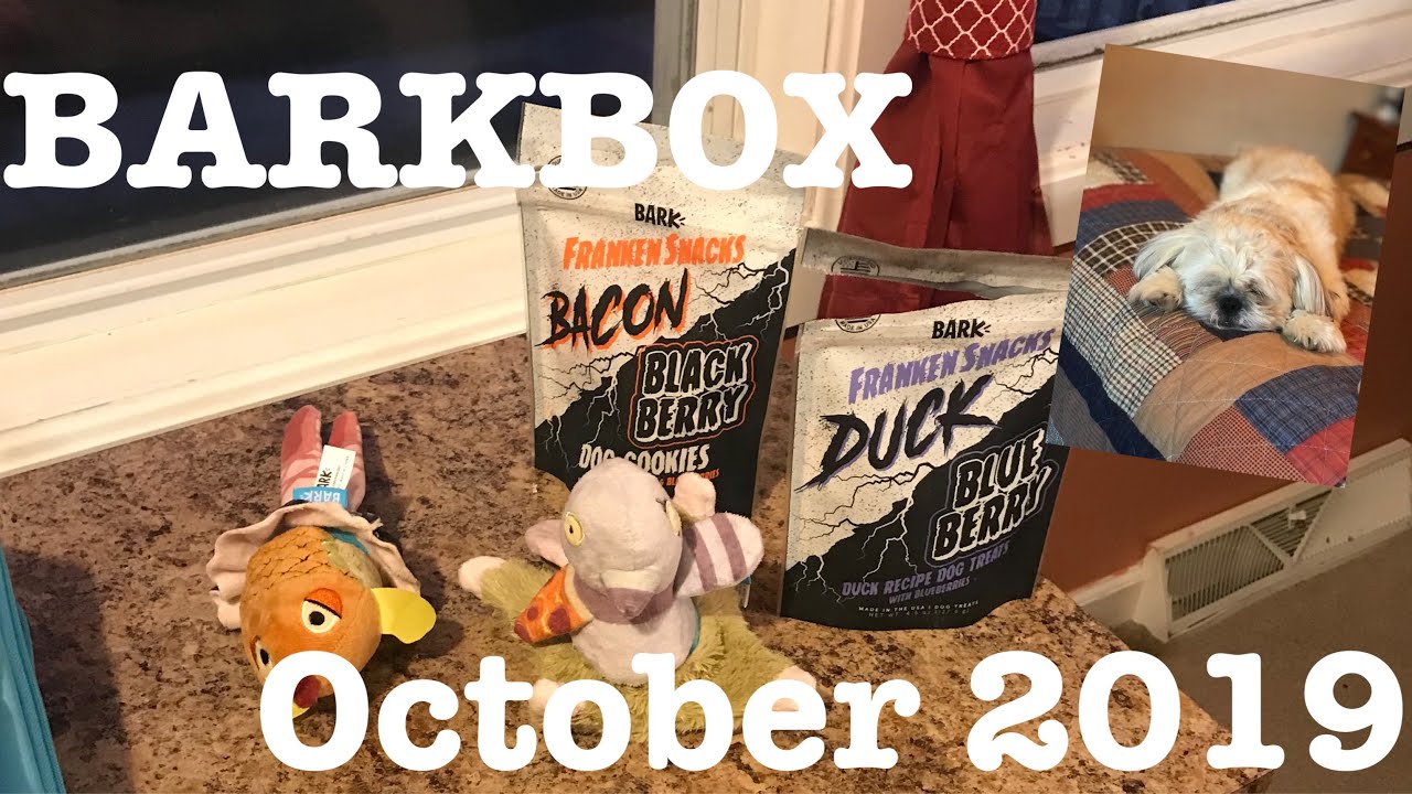 BARKBOX UNBOXING! OCTOBER 2019 HALLOWEEN BOX - YouTube