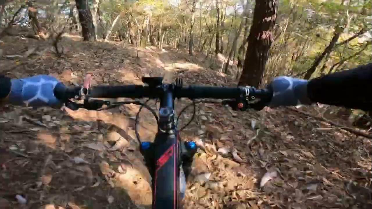 세종 장군산 운천코스 XC하드테일 다운힐(오랜만에 한건했네요.^^;) #mtb #바이크원오원 #장군산 #엘파마 #판타시아S7 #XC하드테일 - YouTube