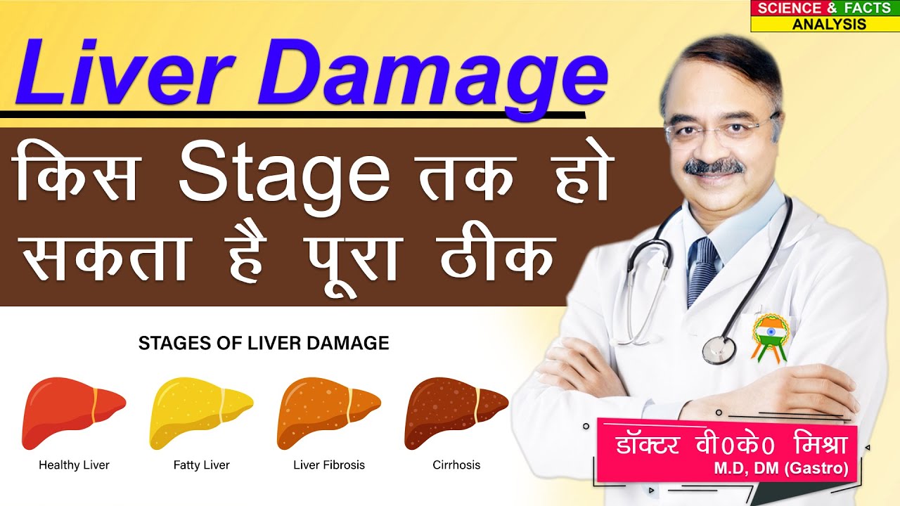 Liver Damage किस Stage तक हो सकता है पूरा ठीक || VISUAL GUIDE TO LIVER ...