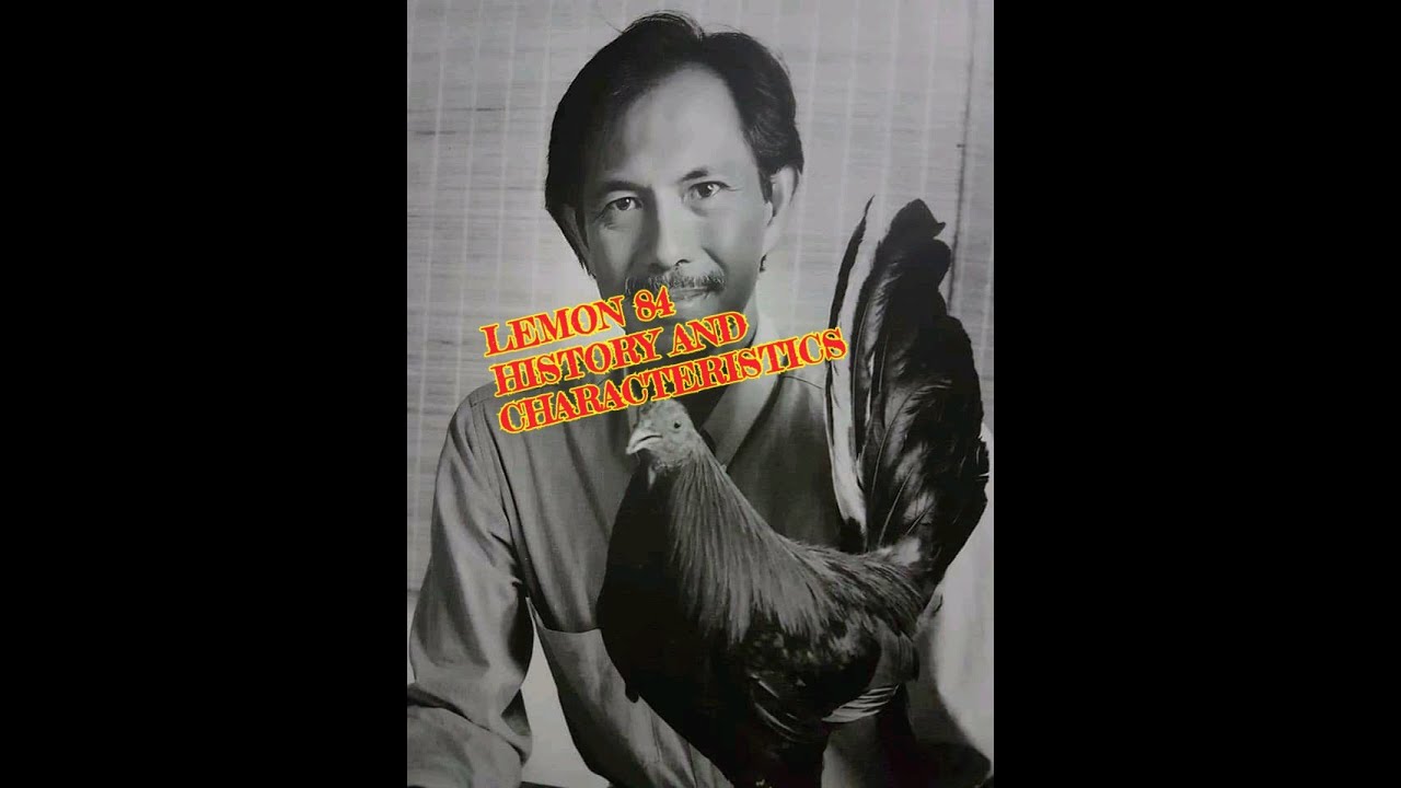 LEMON 84 HISTORY AND CHARACTERISTICS - YouTube