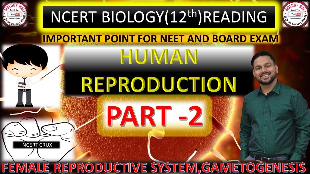 PART -2 HUMAN REPRODUCTION । NCERT BIOLOGY । CBSE 12th CLASS । FEMALE ...