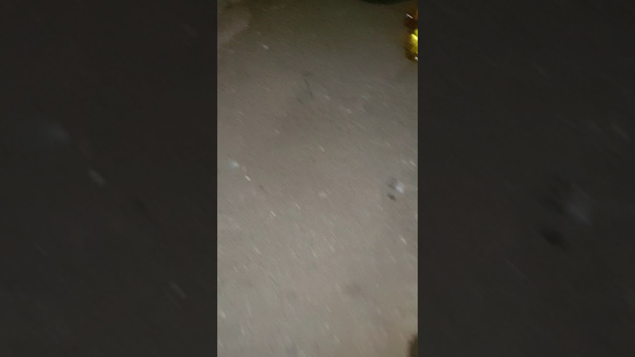 Rațe mute la clocit - YouTube