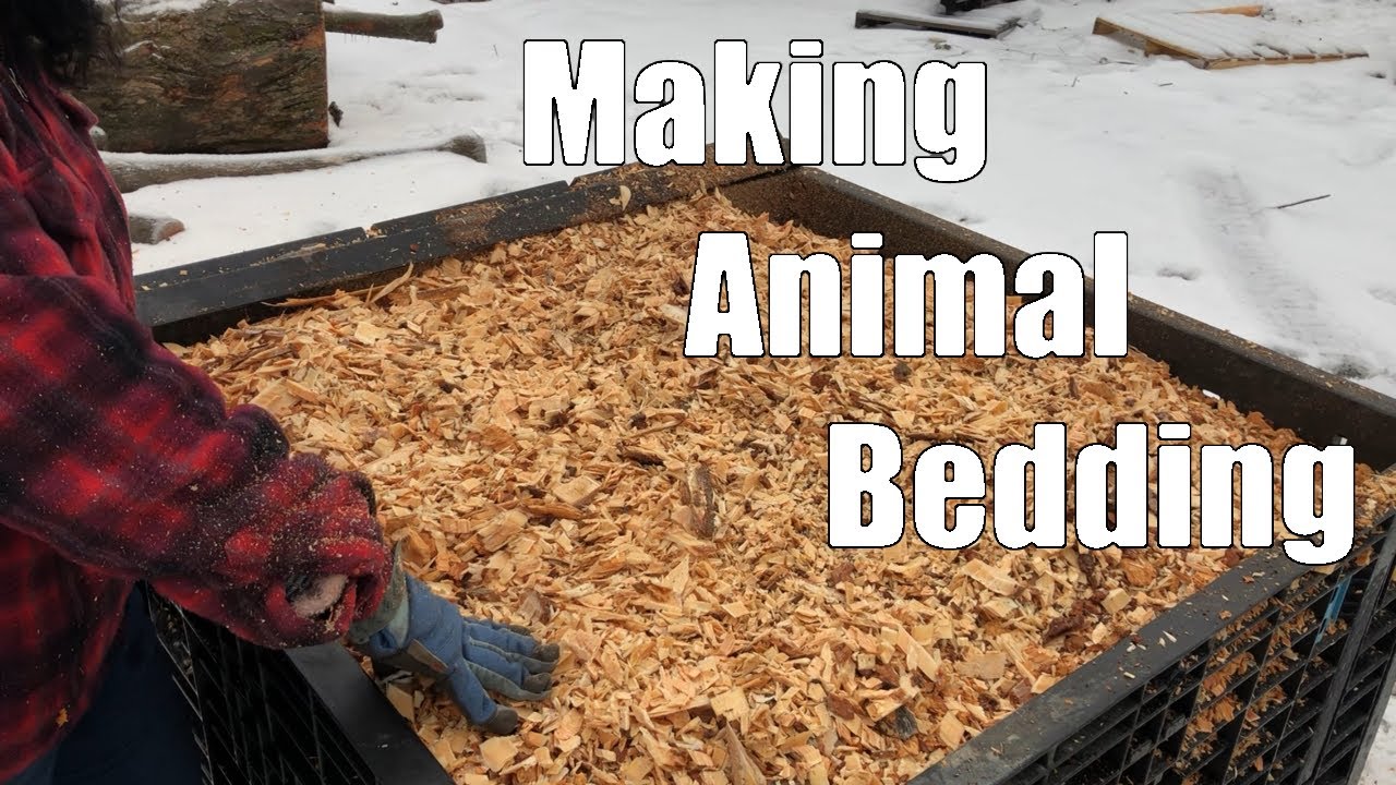 Making Animal Bedding - YouTube