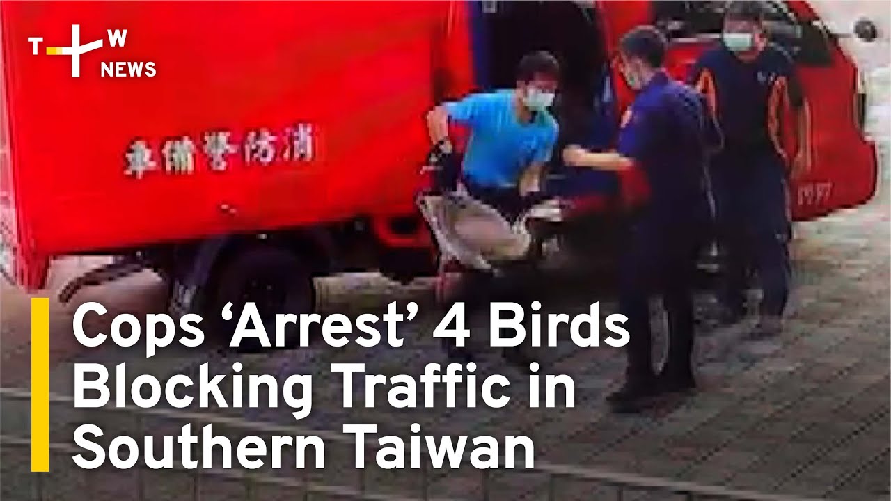 Cops ‘Arrest’ 4 Birds Blocking Traffic in Southern Taiwan | TaiwanPlus ...