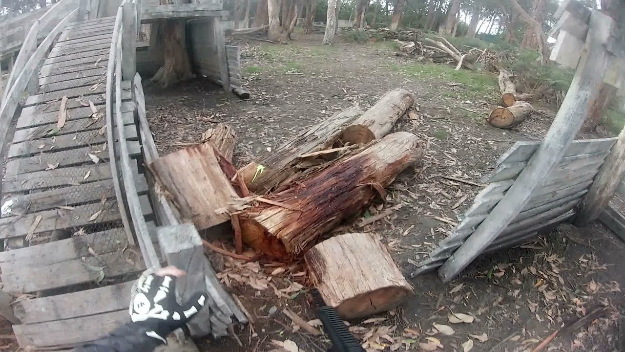 BUSHBALL DOMINATION - YouTube