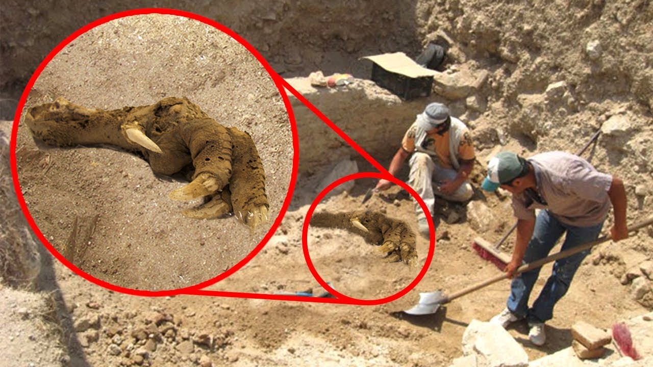 9 Most BIZARRE Archaeological Discoveries Ever Made! - YouTube