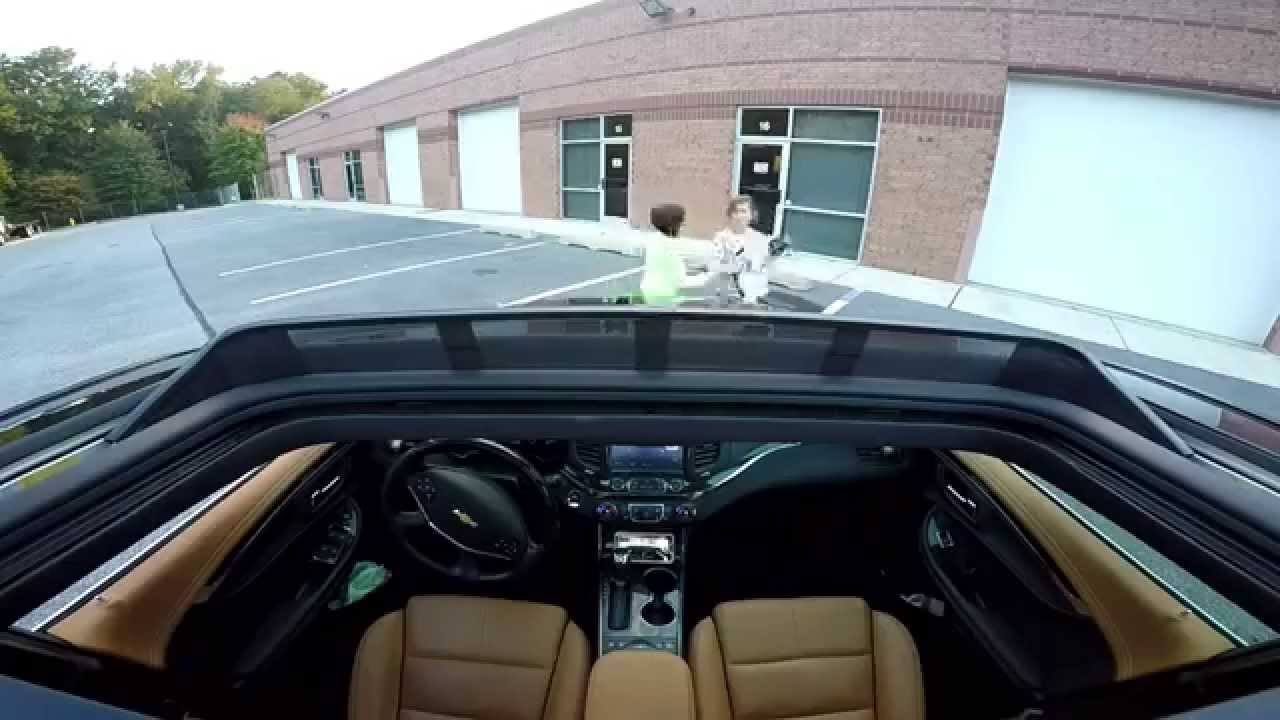 A Doggy Day With Lego The Yorkie - YouTube