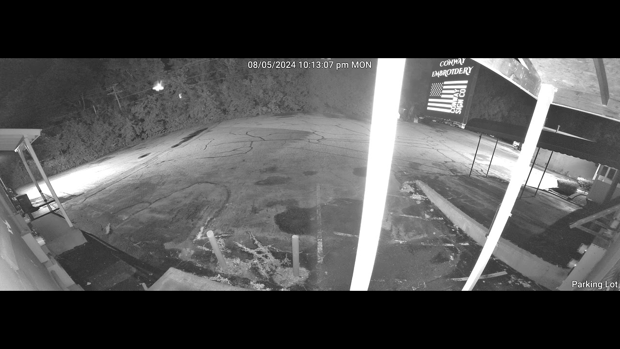 Tripod bear behind the shop. - YouTube