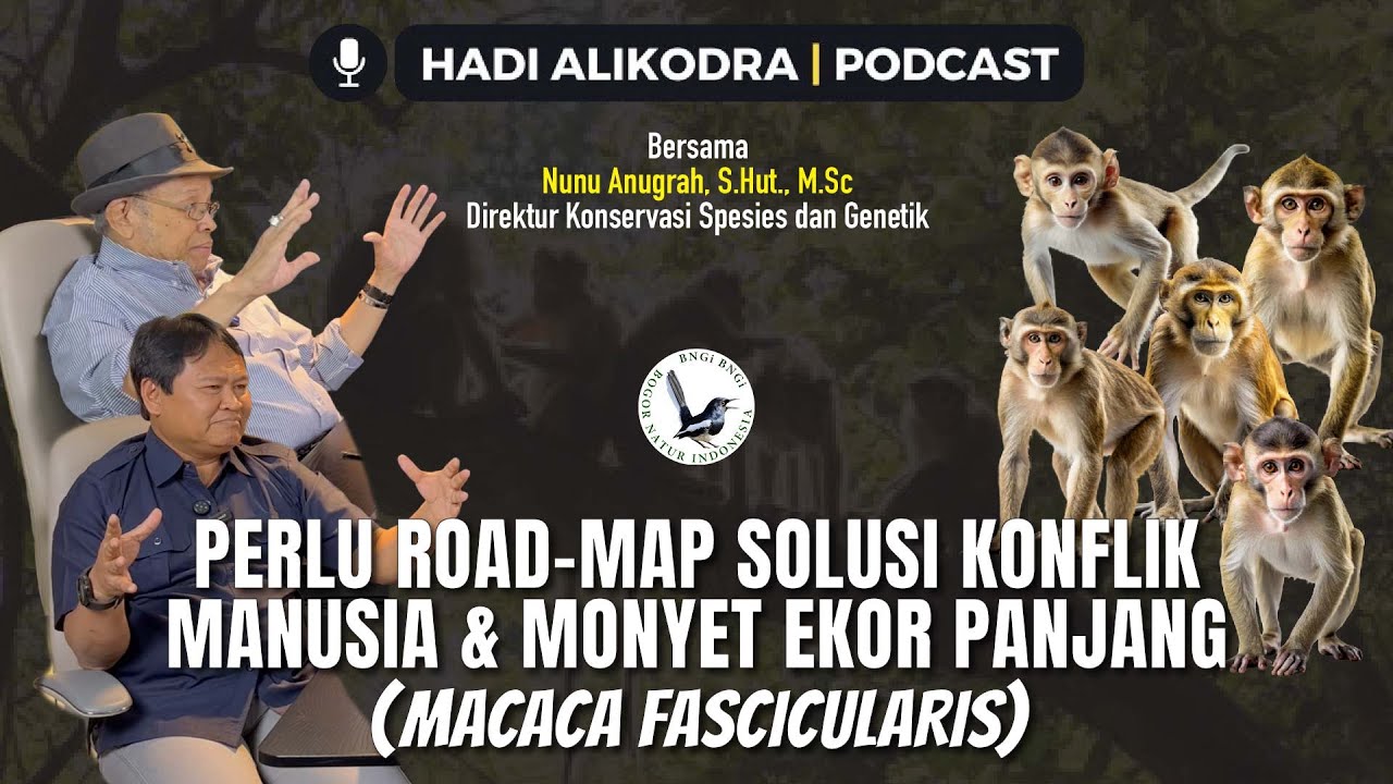 PERLU ROAD-MAP SOLUSI KONFLIK MANUSIA & MONYET EKOR PANJANG (MACACA ...
