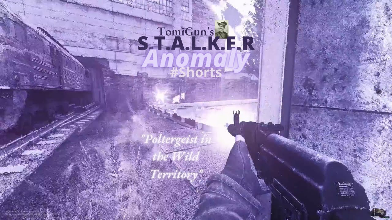 Stalker Poltergeist