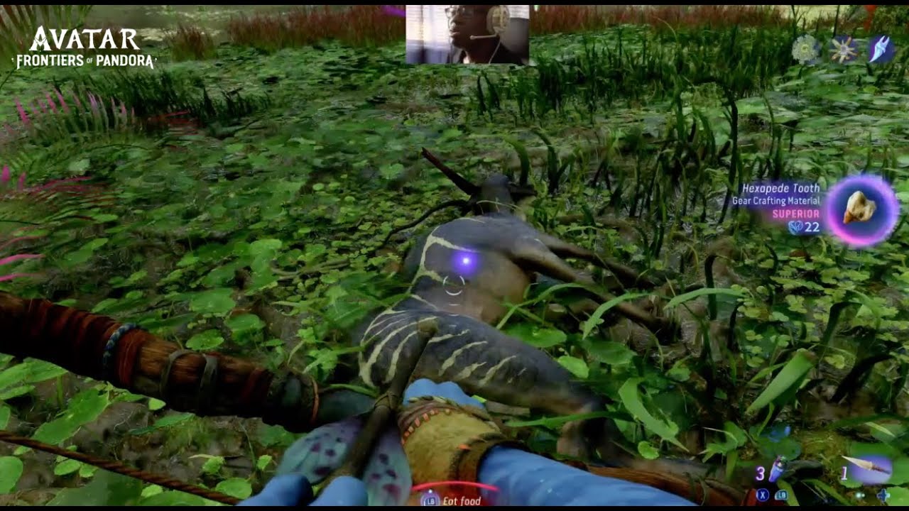 Free Roam | More Resources | Level 5 | Gameplay | Avatar Frontier of ...