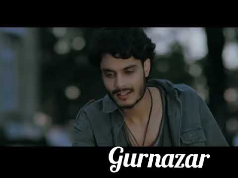 Pinjra song lyrics:Gurnazar - YouTube