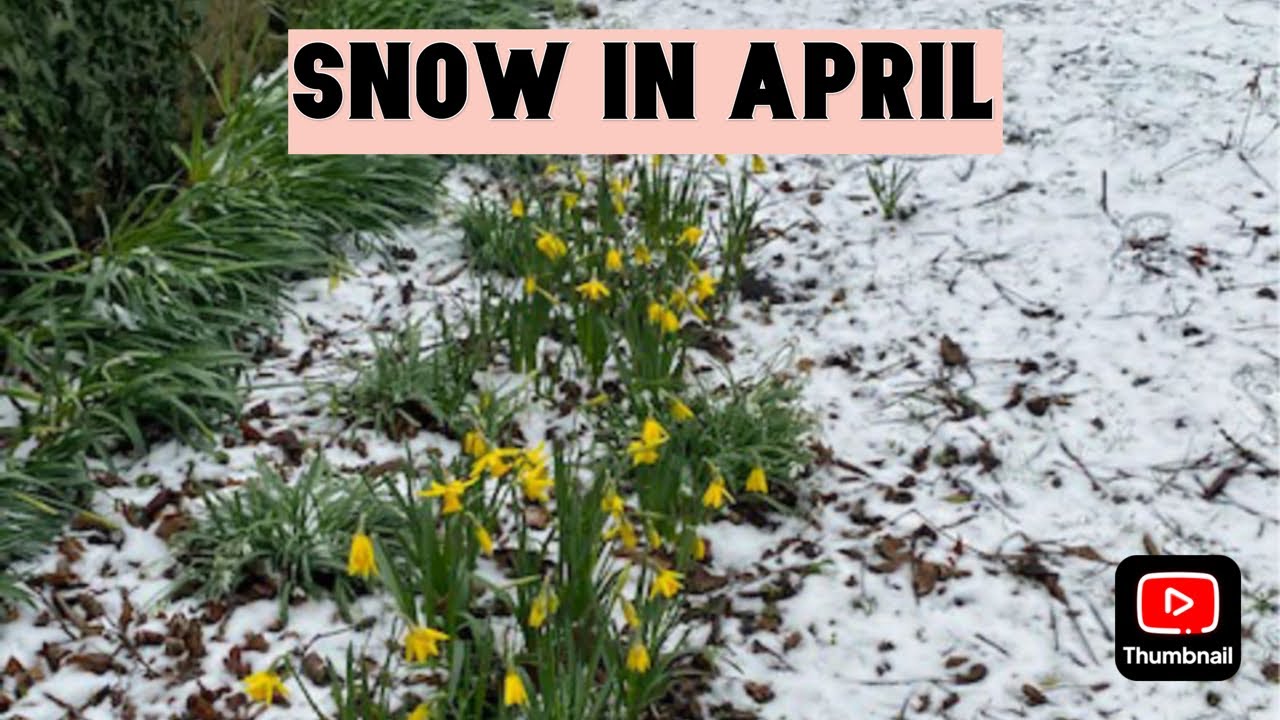Snow In April In Scotland. Welcome To Scotland Weather - YouTube