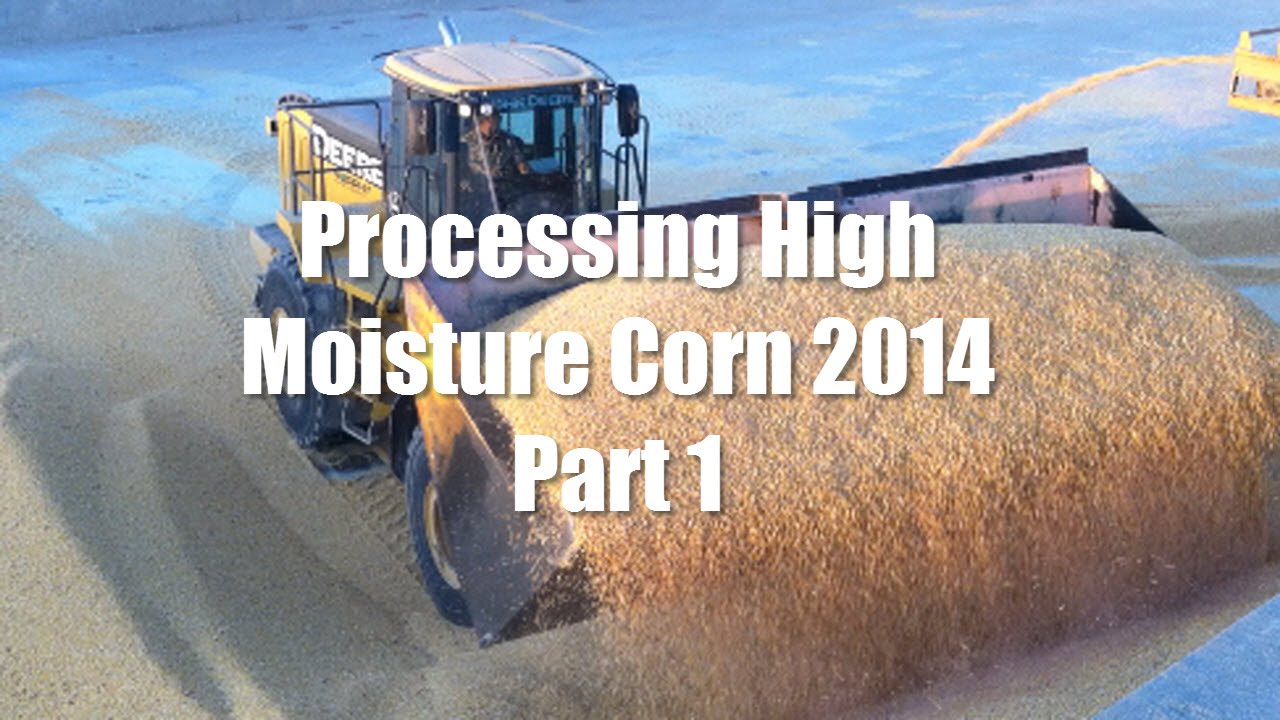 Processing High Moisture Corn 2014 Part 1 - YouTube