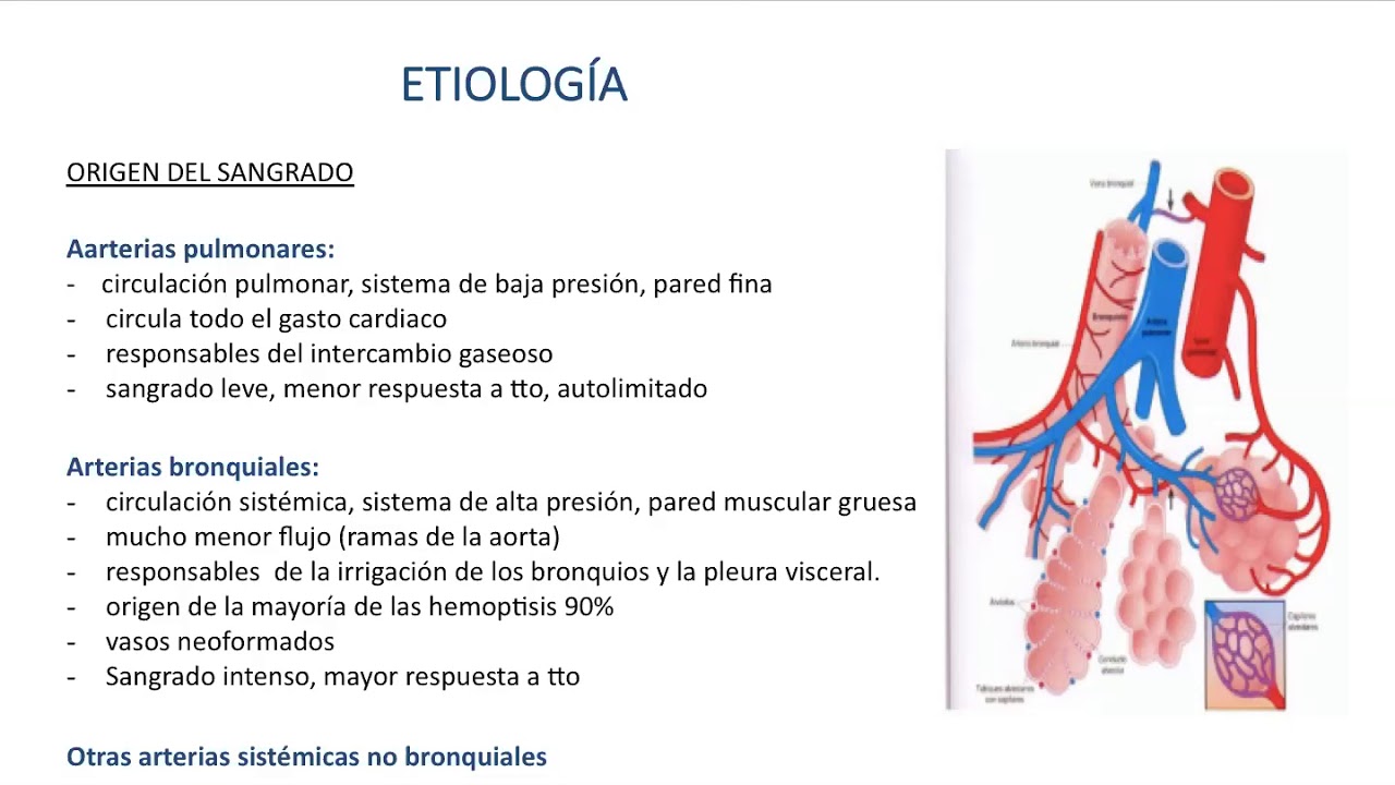Hemoptisis (Dra. Cecilia Chao) - Módulo Respiratorio - YouTube