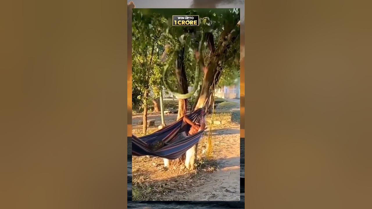 @/tags/ngakak/@/tags/fyp%E3%82%B7%E2%9D%A4%EF%B8%8F%F0%9F%92%9E%E2%9D ...