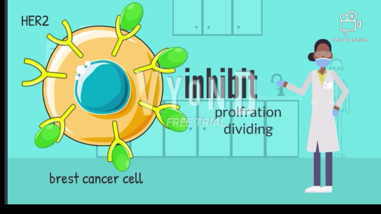 Margetuximab / Margenza group 31 - YouTube