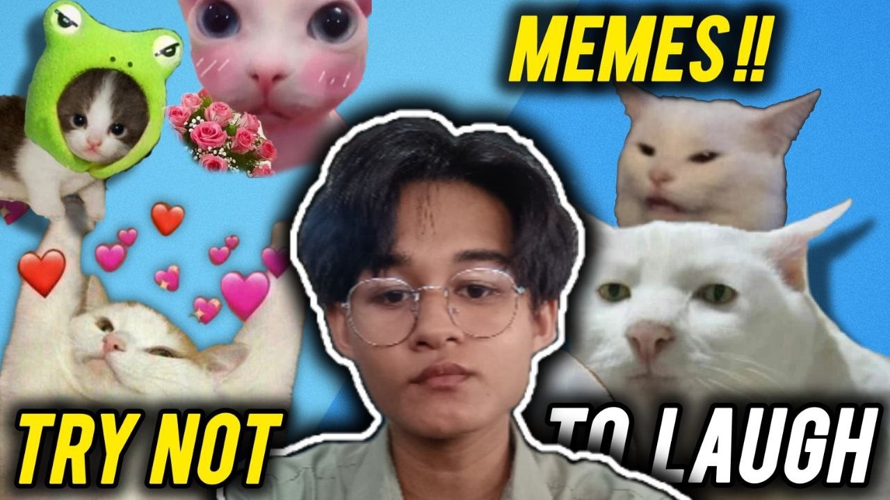 📌You Laugh You Loose-Memes Part 1 - YouTube