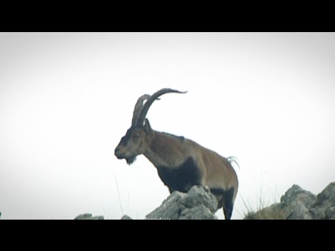 El Señor De Las Cumbres Youtube