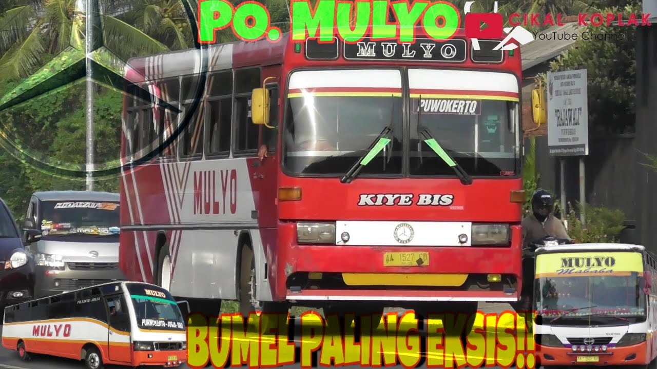 BUMEL PALING EKSIS DI JALURNYA⁉️ LEGENDA PO MULYO LINTAS PURWOKERTO ...